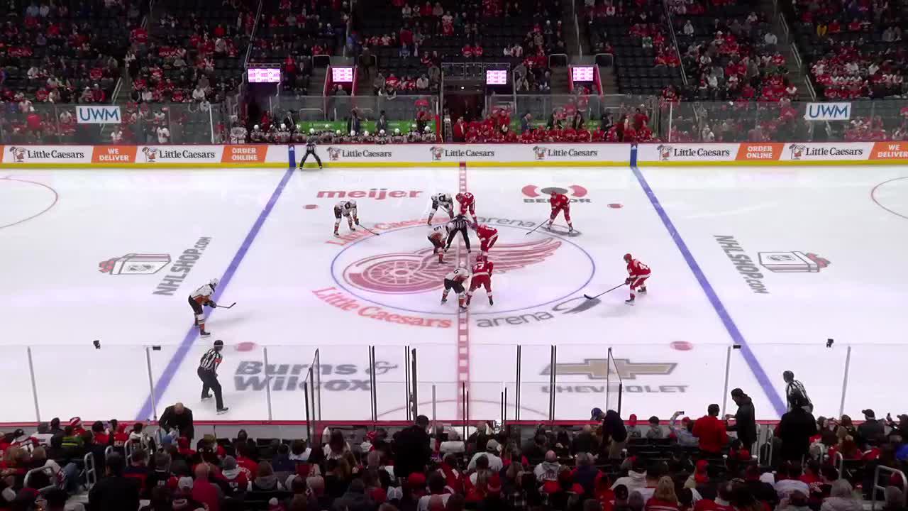 Anaheim Ducks at Detroit Red Wings